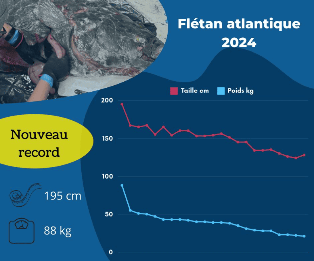 Bilan 2024 de la pêche scientifique au flétan dans le Fjord du Saguenay ...